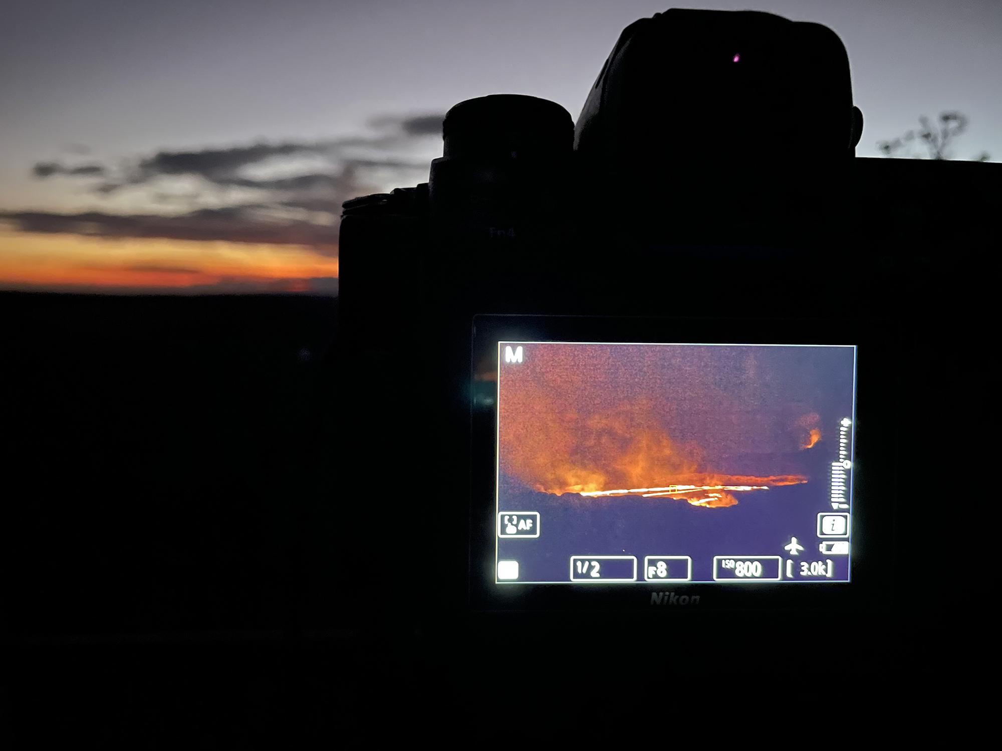 Fire and Feathers – jadewolf photography